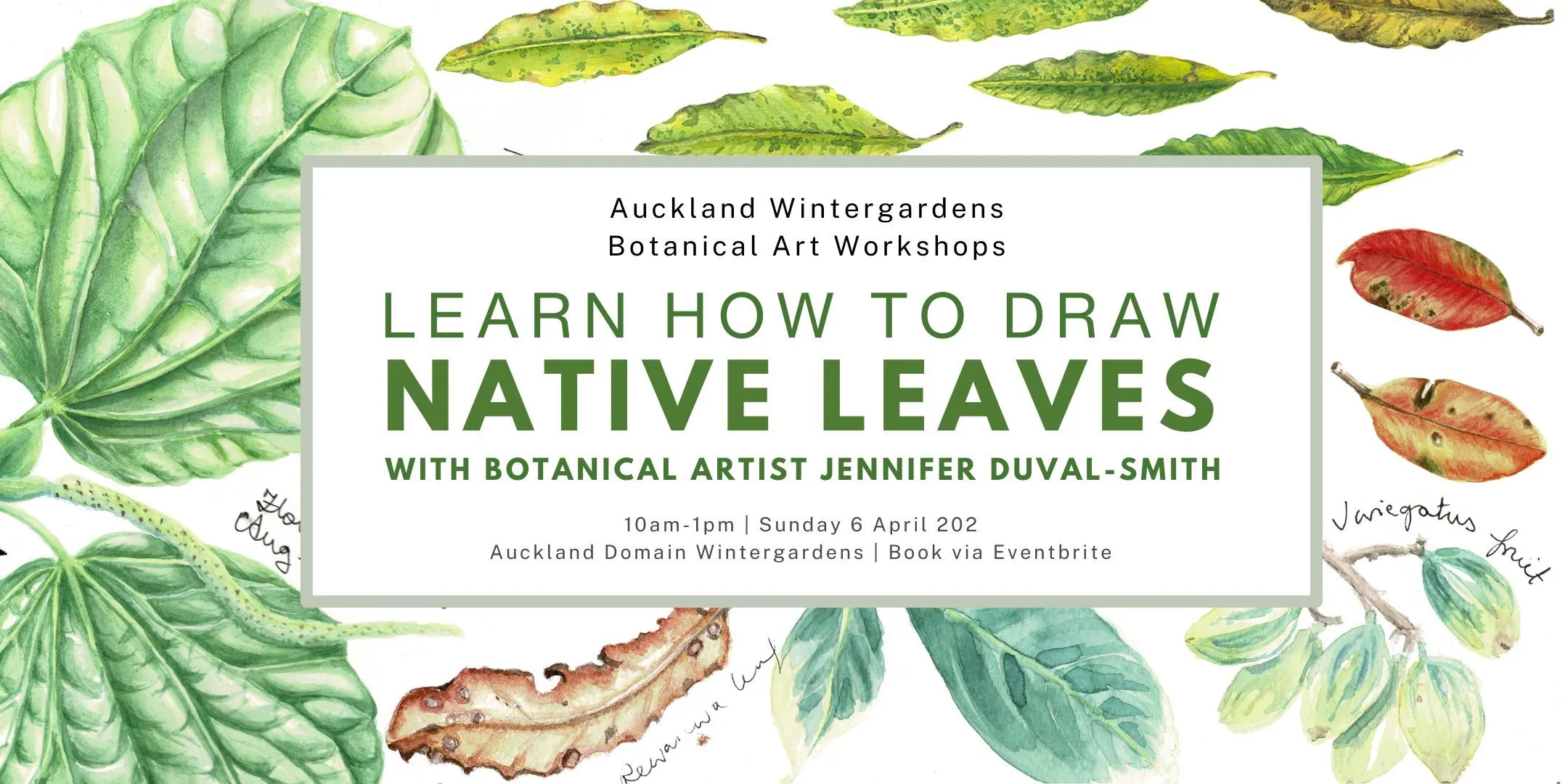 Learn to Draw Native Leaves with Botanical Artist Jennifer Duval-Smith ...