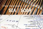 Sea / Soar at Blue Oyster Gallery | The Big Idea