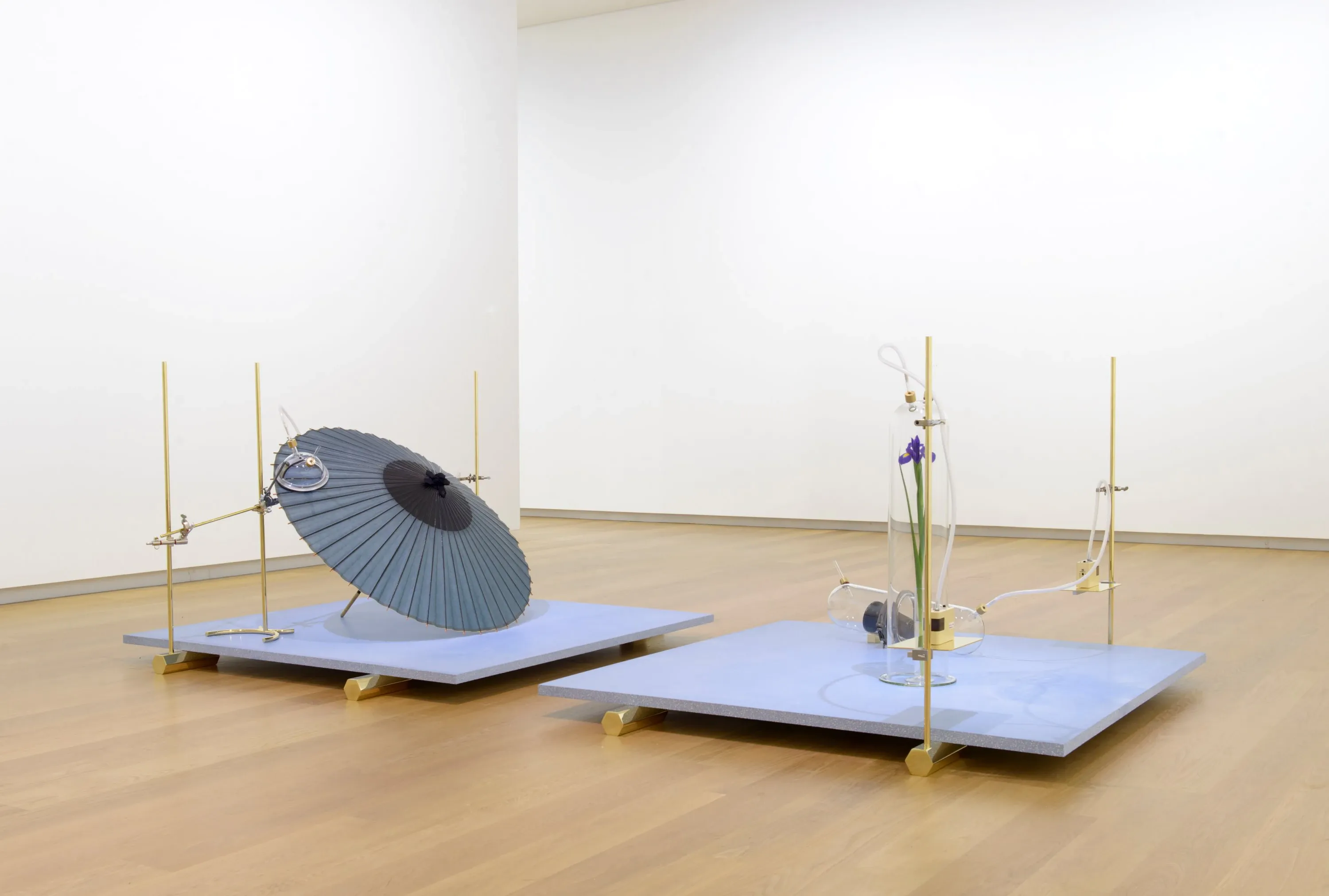 Dane Mitchell’s Iris, Iris, Iris opens at Auckland Art Gallery Toi o ...