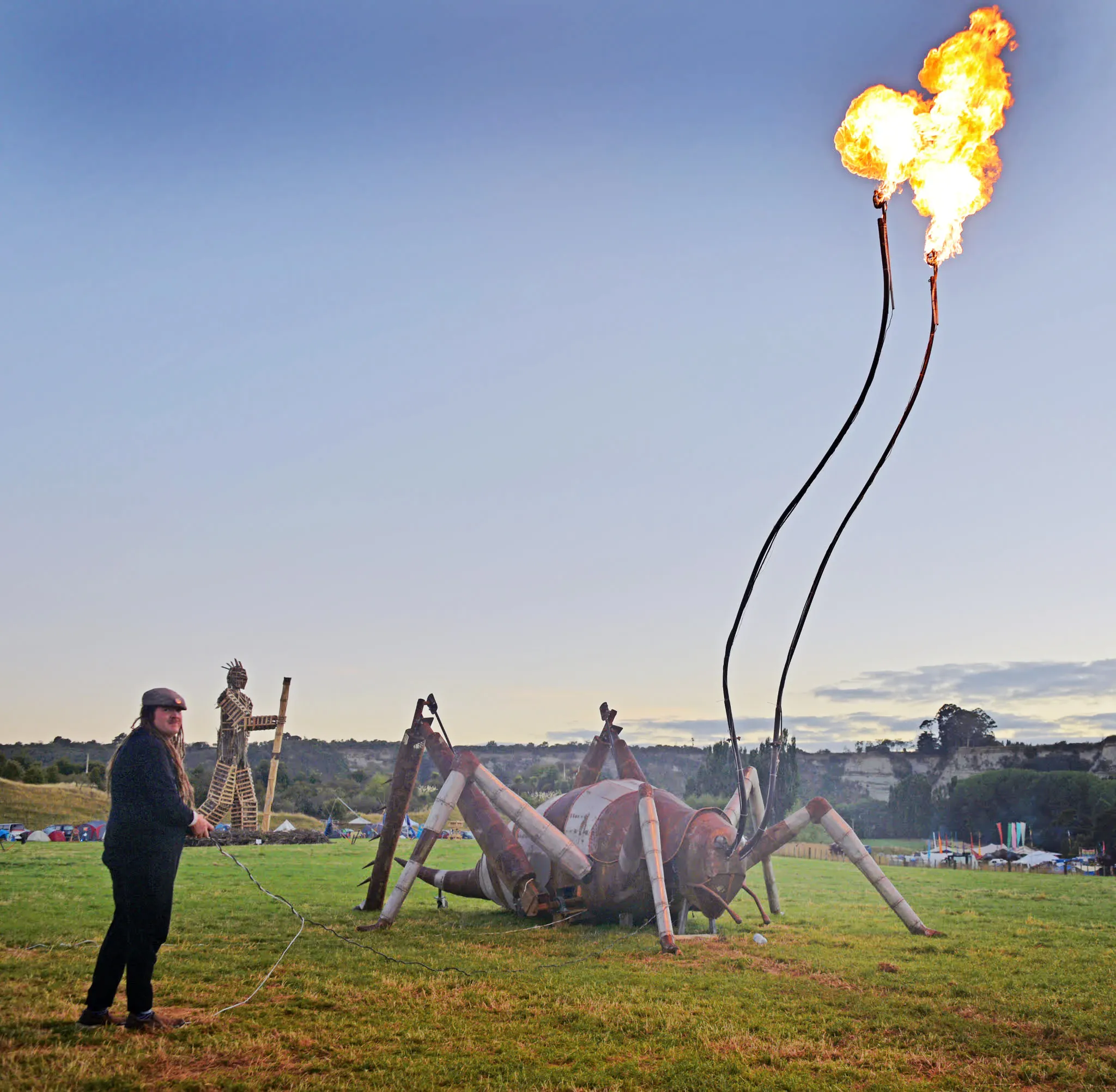 The Giant Weta | The Big Idea