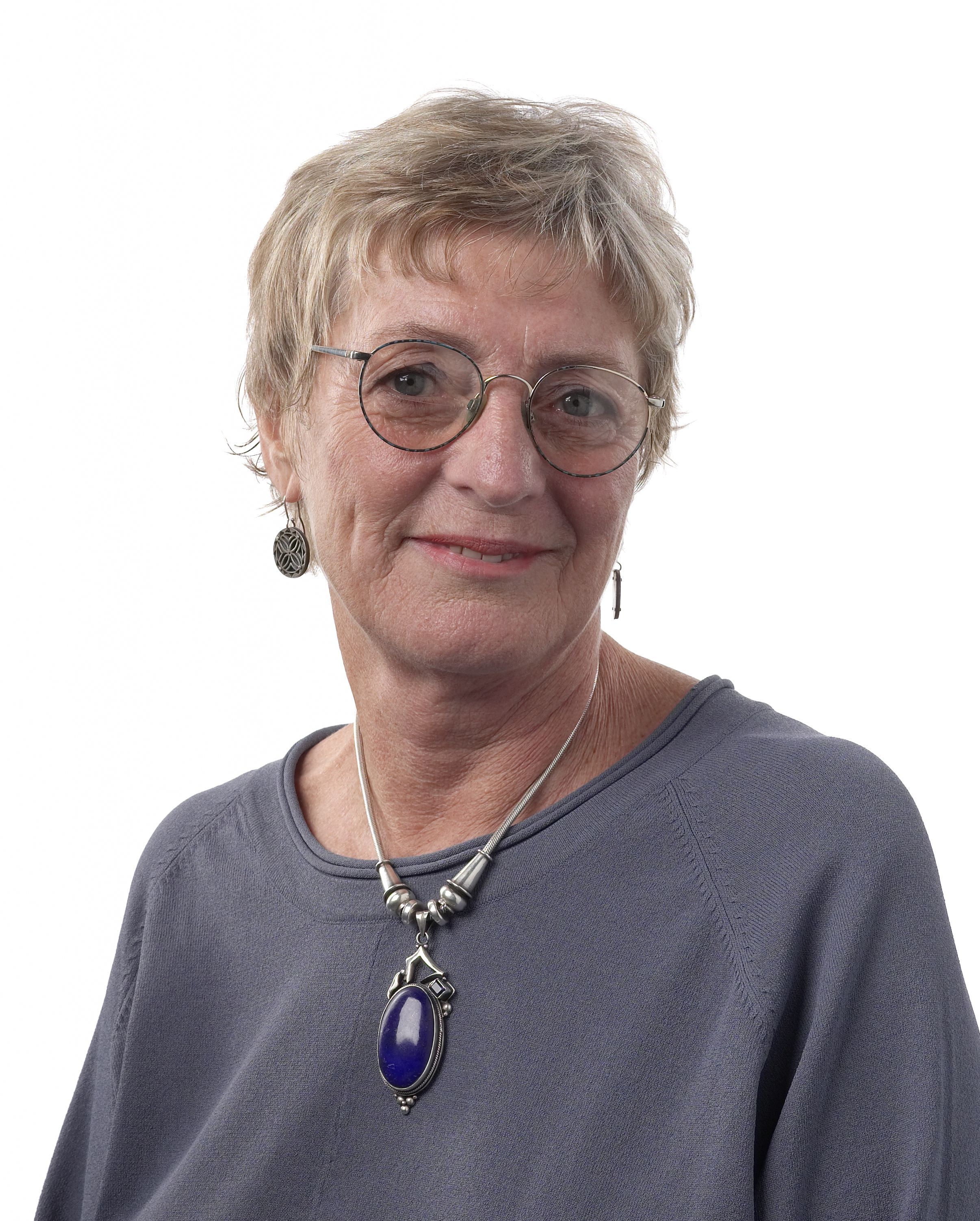 New book award named after esteemed historian | The Big Idea