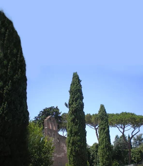 Pines of Rome | The Big Idea