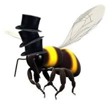 Hats off to the bees | The Big Idea