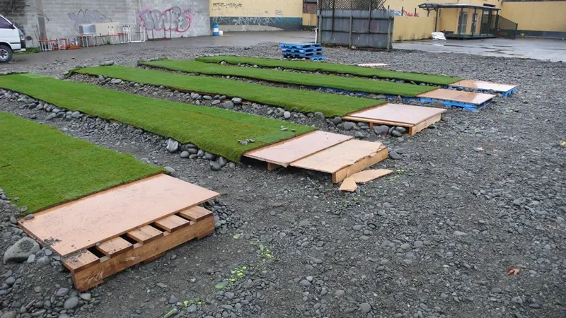 CPIT students fill in 'gaps' in ChCh city | The Big Idea