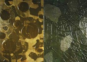 Learning how to talk tree | The Big Idea