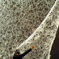 Somewhat Different | The Big Idea