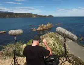 Making art in the park | The Big Idea