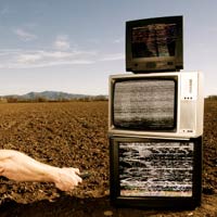 Triangle Television restructures for future | The Big Idea